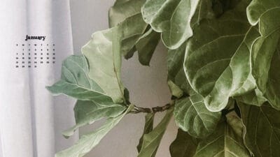 January 2024 wallpapers – 60 FREEBIES for desktop & phones!