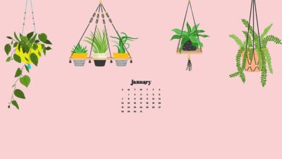 January 2024 wallpapers – 60 FREEBIES for desktop & phones!