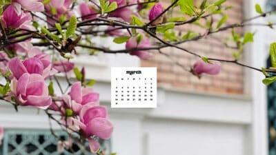 March 2024 wallpapers – 75 freebies for desktop & phones!