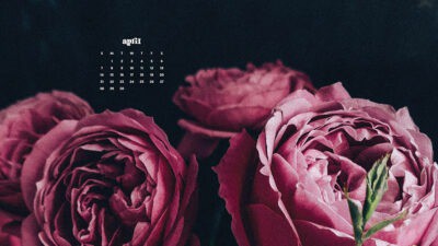 April 2024 wallpapers – 60 FREEBIES for desktop & phones!