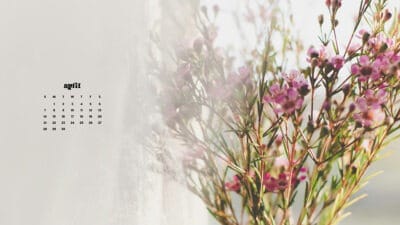 April 2024 wallpapers – 60 FREEBIES for desktop & phones!