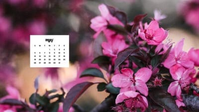 May 2024 wallpapers – 60 FREEBIES for desktop & phones!