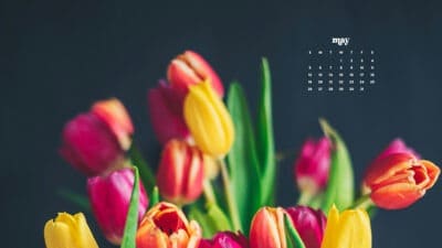 May 2024 wallpapers – 60 FREEBIES for desktop & phones!