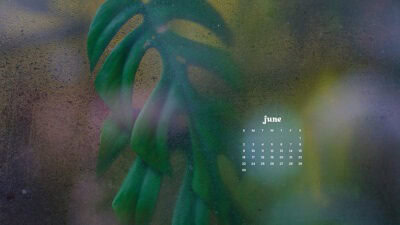 June 2024 wallpapers – 60 FREEBIES for desktop & phones!
