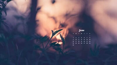 June 2024 wallpapers – 60 FREEBIES for desktop & phones!
