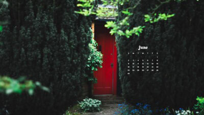 June 2024 wallpapers – 60 FREEBIES for desktop & phones!