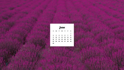 June 2024 wallpapers – 60 FREEBIES for desktop & phones!