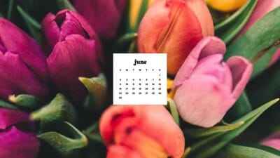 June 2024 wallpapers – 60 FREEBIES for desktop & phones!
