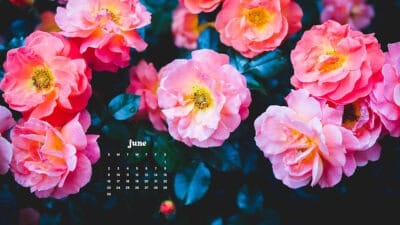 June 2024 wallpapers – 60 FREEBIES for desktop & phones!