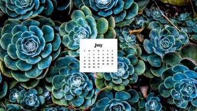 July 2024 wallpapers – 60 freebies for desktop & phones!