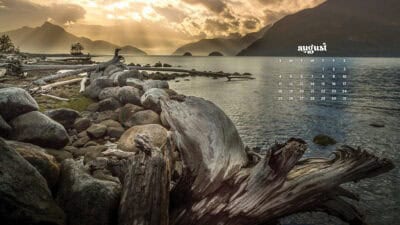 August 2024 wallpapers – 54 FREEBIES for desktop & phones!