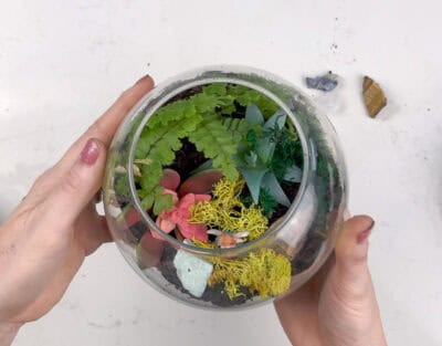 DIY terrarium – an easy upcycling project that anyone can do!