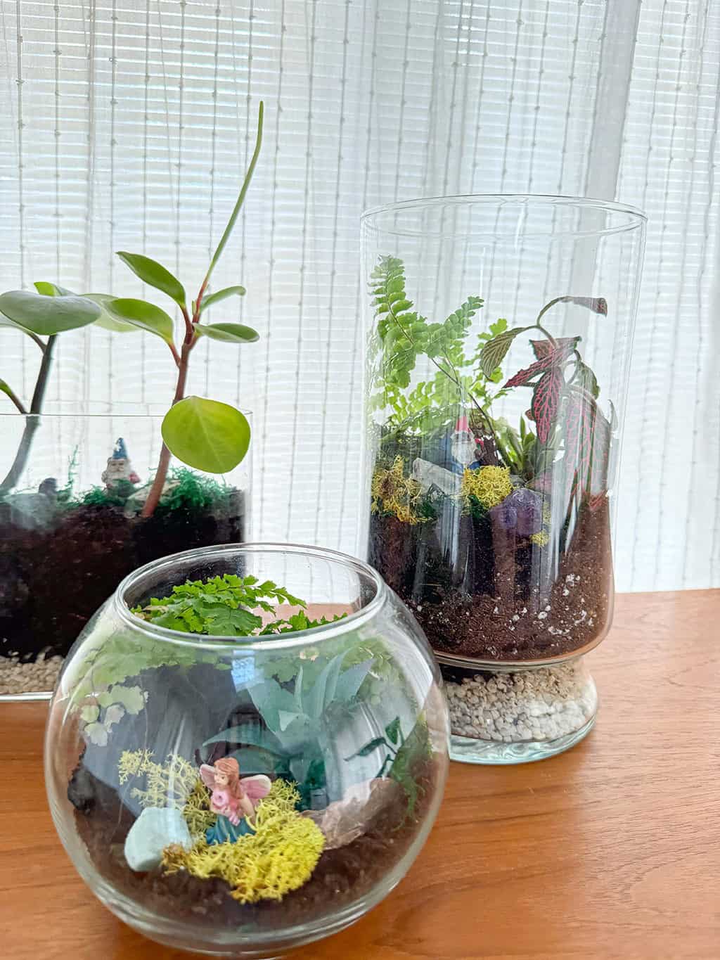 DIY terrarium – an easy upcycling project that anyone can do!
