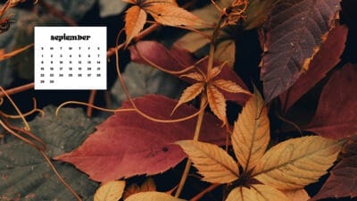 September 2024 wallpapers – 45 FREEBIES for desktop & phones!