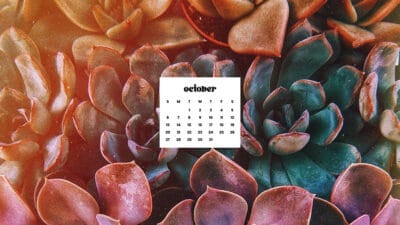 October 2024 wallpapers – 60 FREEBIES for desktop & phones!