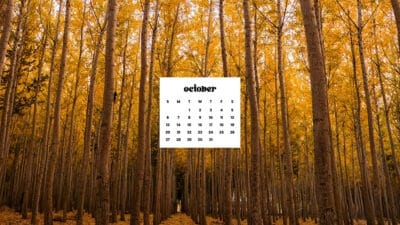 October 2024 wallpapers – 60 FREEBIES for desktop & phones!