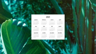 2025 desktop wallpapers – 55 FREE options Sun. & Mon. + no cal