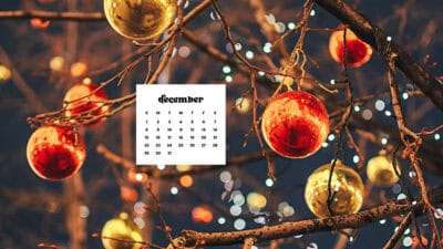 December 2024 wallpapers – 79 FREEBIES for desktop & phones!