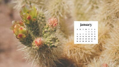 January 2025 wallpapers – 55 FREEBIES for desktop & phones!