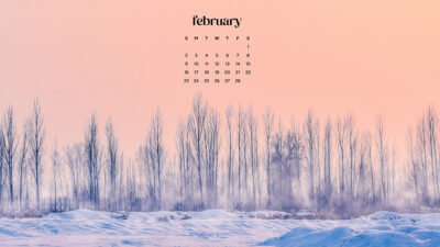 February 2025 – 55 free desktop & phone wallpapers+Black History