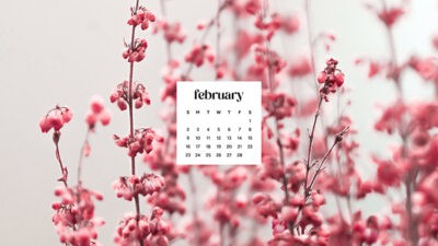 February 2025 – 55 free desktop & phone wallpapers+Black History