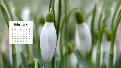 February 2025 – 55 free desktop & phone wallpapers+Black History