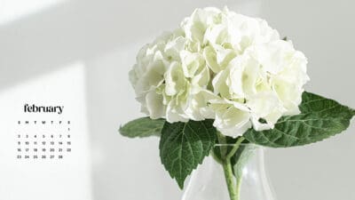 February 2025 – 55 free desktop & phone wallpapers+Black History