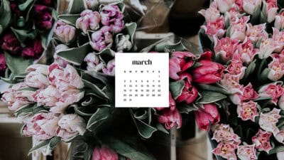 March 2025 wallpapers – 55 freebies for desktop & phones!