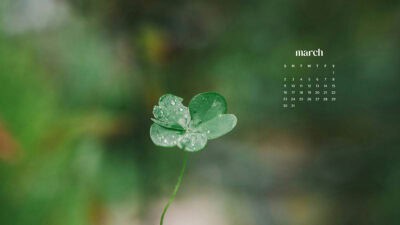 March 2025 wallpapers – 55 freebies for desktop & phones!