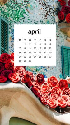April 2025 wallpapers – 40 freebies for desktop & phones!