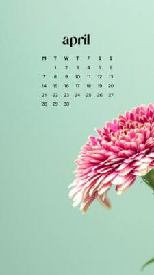 April 2025 wallpapers – 40 freebies for desktop & phones!
