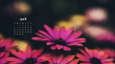 April 2025 wallpapers – 40 freebies for desktop & phones!