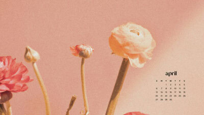 April 2025 wallpapers – 40 freebies for desktop & phones!