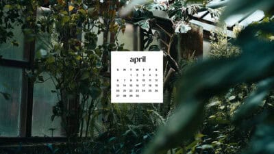 April 2025 wallpapers – 40 freebies for desktop & phones!
