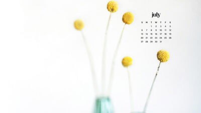 July 2025 computer wallpapers – 50 freebies for desktop & phones!