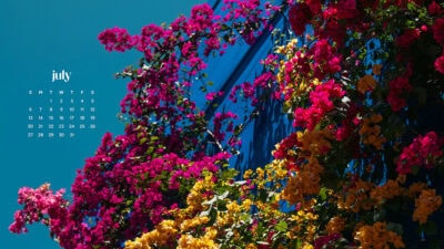 July 2025 computer wallpapers – 50 freebies for desktop & phones!