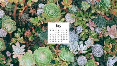 July 2025 computer wallpapers – 50 freebies for desktop & phones!