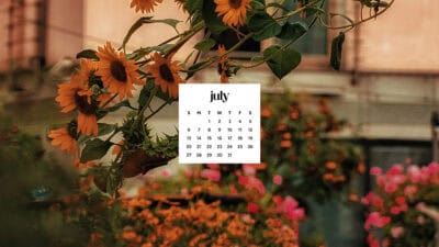 July 2025 computer wallpapers – 50 freebies for desktop & phones!