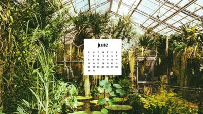 June 2025 wallpapers – 50 FREEBIES for desktop & phones!
