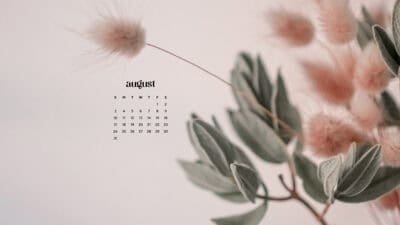 August 2025 wallpapers – 45 freebies for desktop & phones!